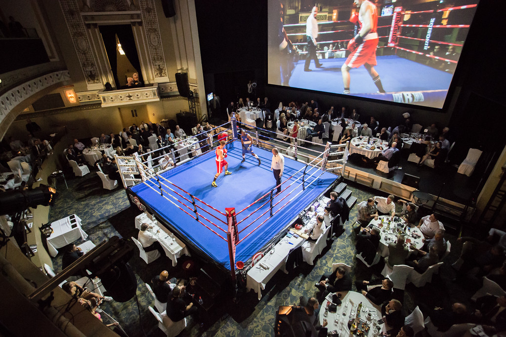 Boxing Ring Rental & MMA Cage Rental, Atlanta | SE Ring Rentals
